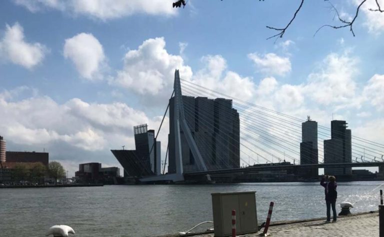 The Ultimate Guide to Rotterdam’s Public Transportation: Trams, Trains ...